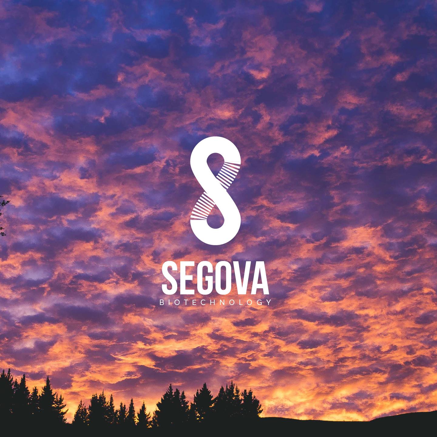 The New Generation of the SEGOVA Method - Segova